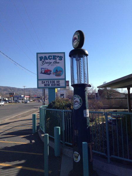 Gallery | Pace's Dairy Ann